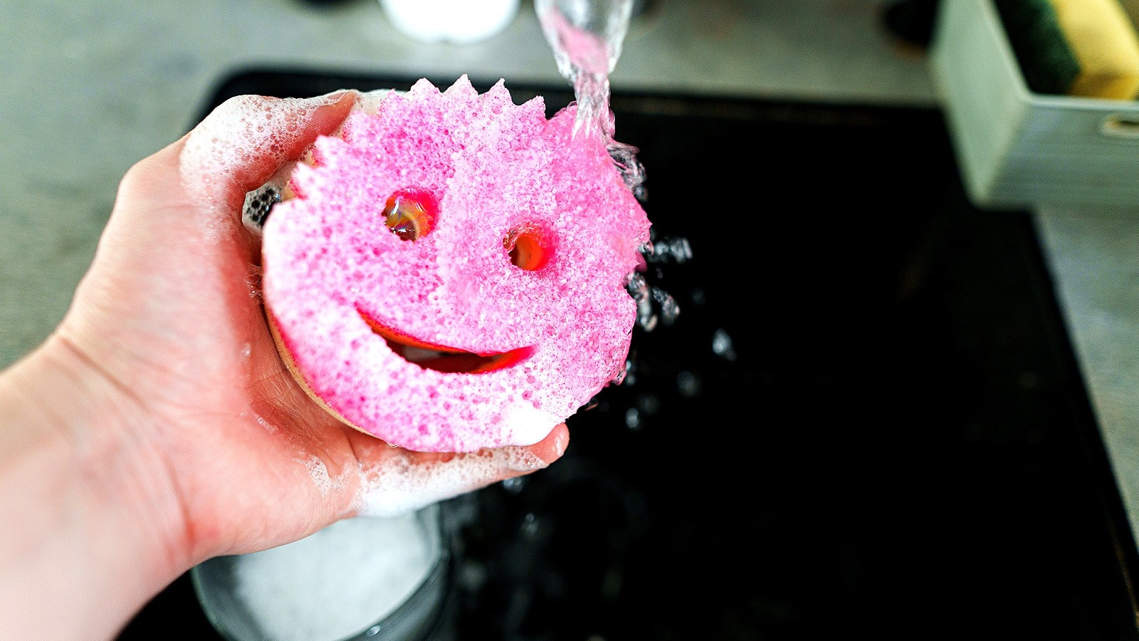 Shark Tank's Scrub Daddy: How Successful Is The Company Now?