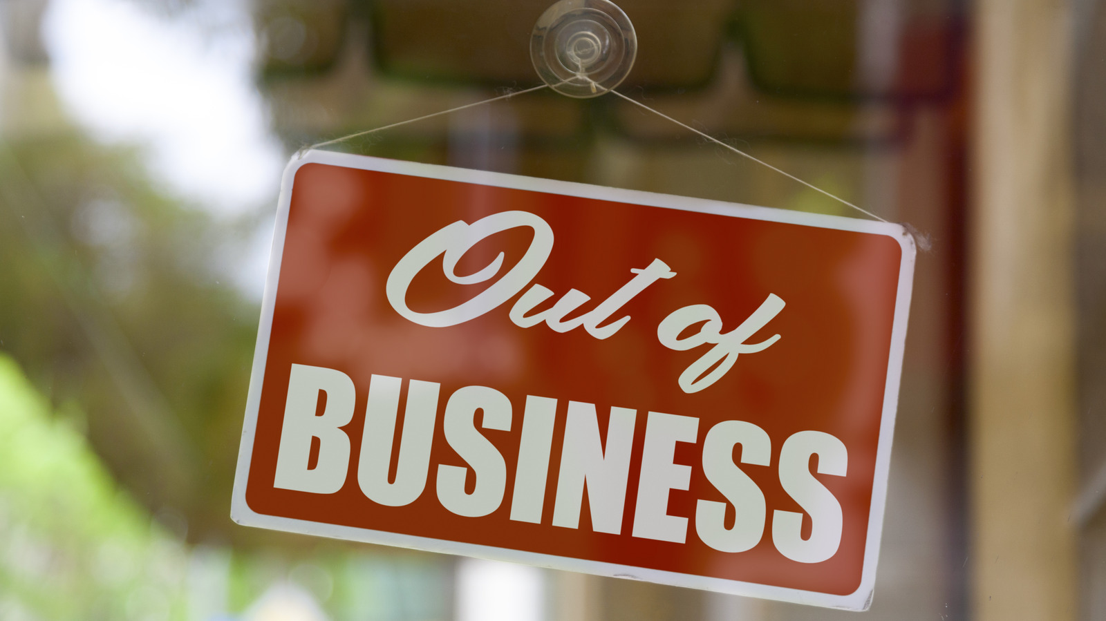 The Popular Hardware Store That Went Bankrupt (And Why Stores Are Still ...