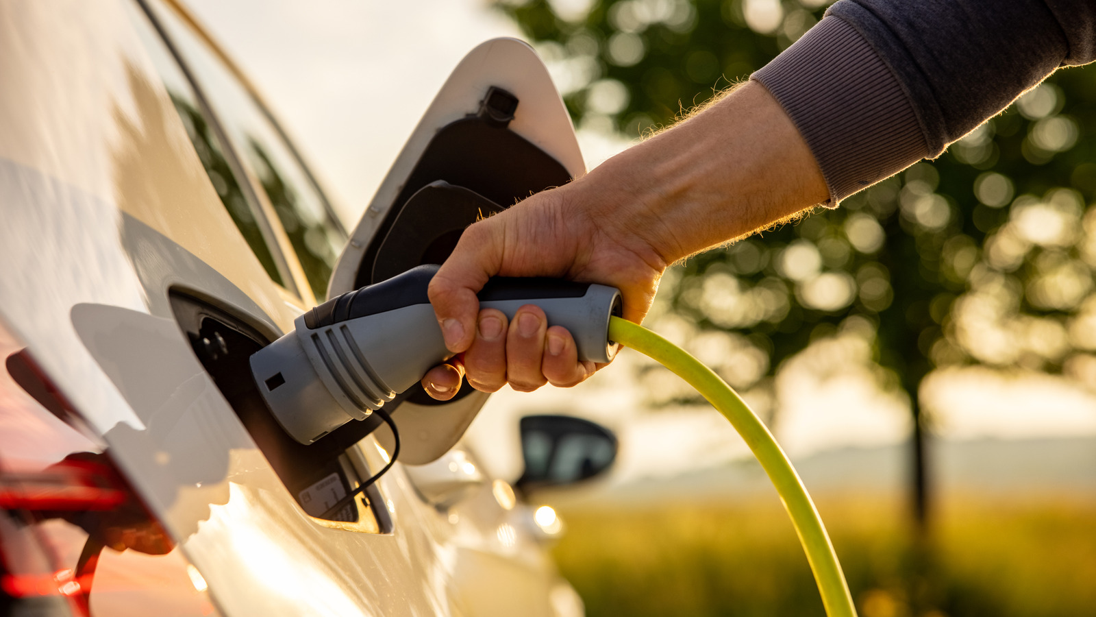 The Type Of Car 'Upper Class' People Buy To Save Money