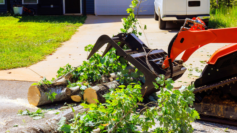 Who Pays When A Neighbor's Tree Falls In Your Yard?